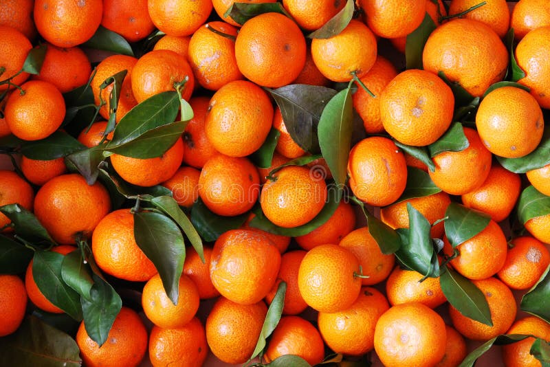 Chinese fresh oranges stock photo. Image of pink, fresh - 7854968