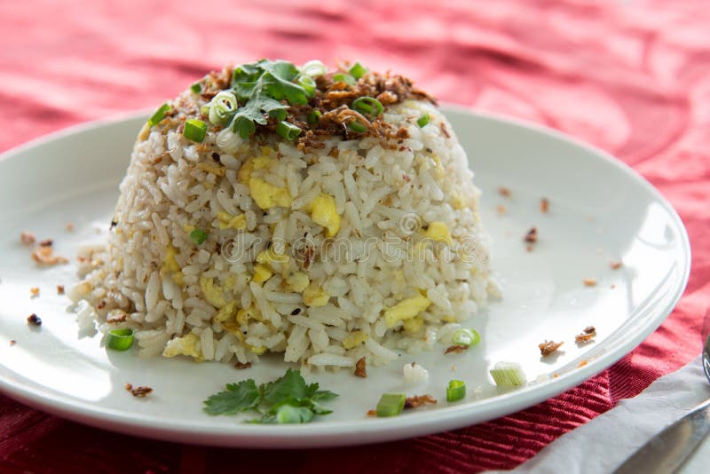 Chinese fried rice stock image. Image of onion, china - 48466659