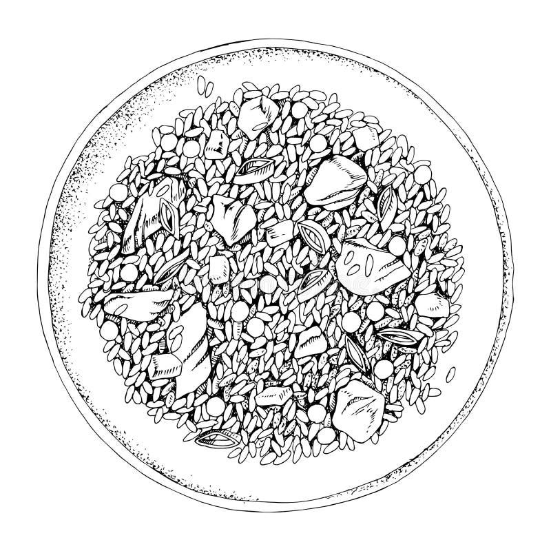 Chinese Fried Rice in a White Plate Stock Vector - Illustration of ...