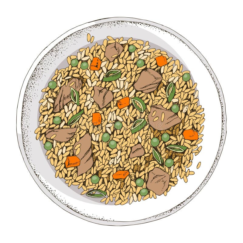 Chinese Fried Rice in a White Plate Stock Vector - Illustration of ...