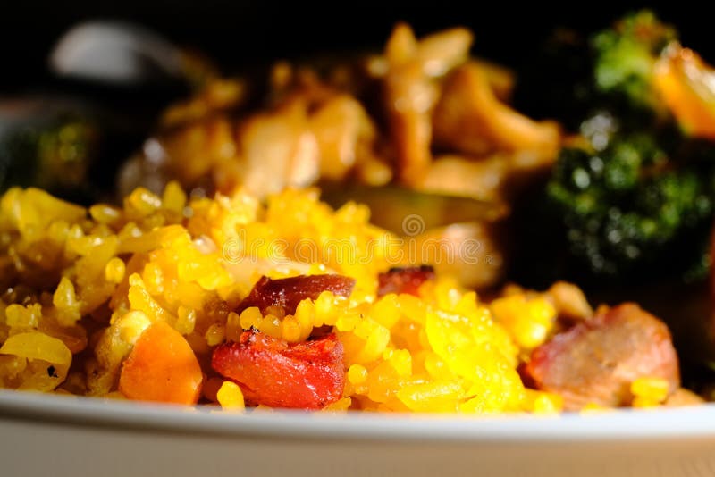 Chinese Garlic Chicken Fried Rice Stock Image - Image of szechuan ...