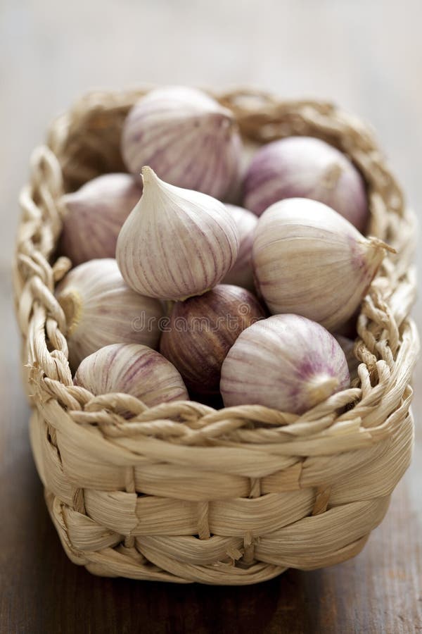 Chinese garlic stock image. Image of seasoning, farmers - 35645615