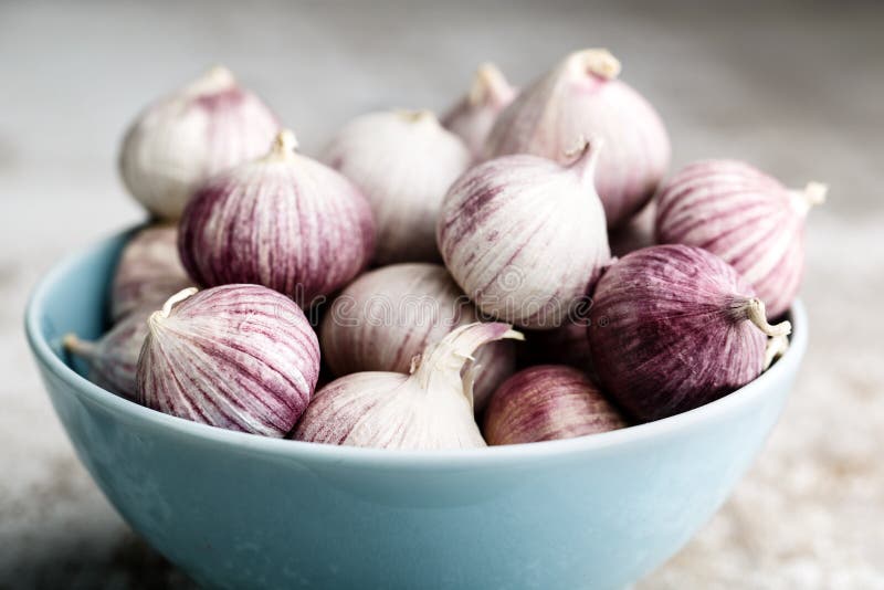 Chinese Garlic stock image. Image of table, vintage - 143831145
