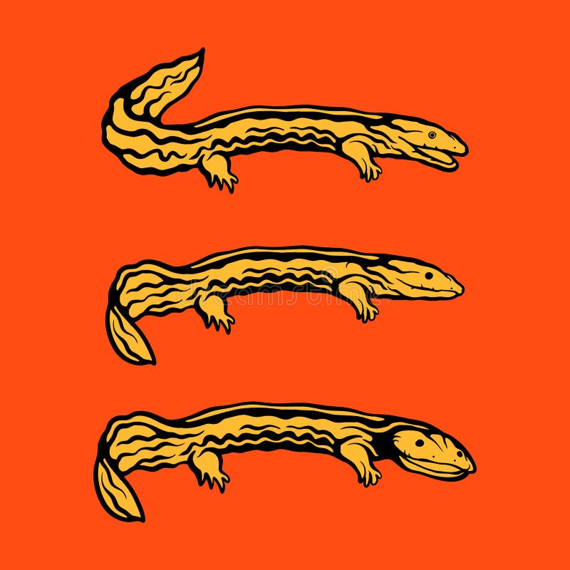 Chinese Giant Salamander, Hellbender Icon, Salamander Vector Design ...