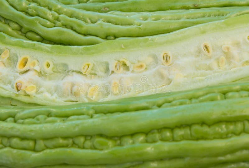 Chinese gourd stock photo. Image of organic, vegetarian - 44798618