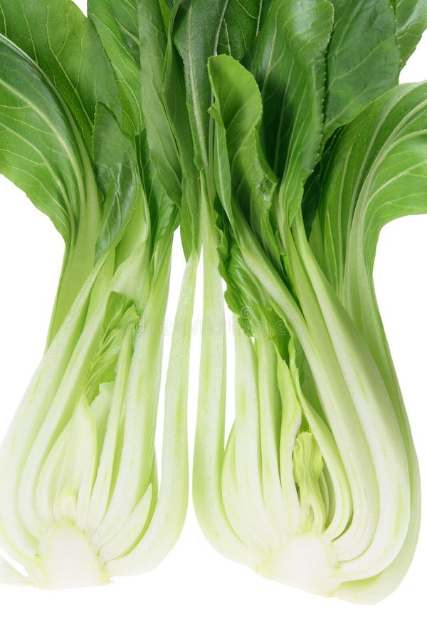 Chinese Groenten stock foto. Image of ingrediënt, stam - 22843708