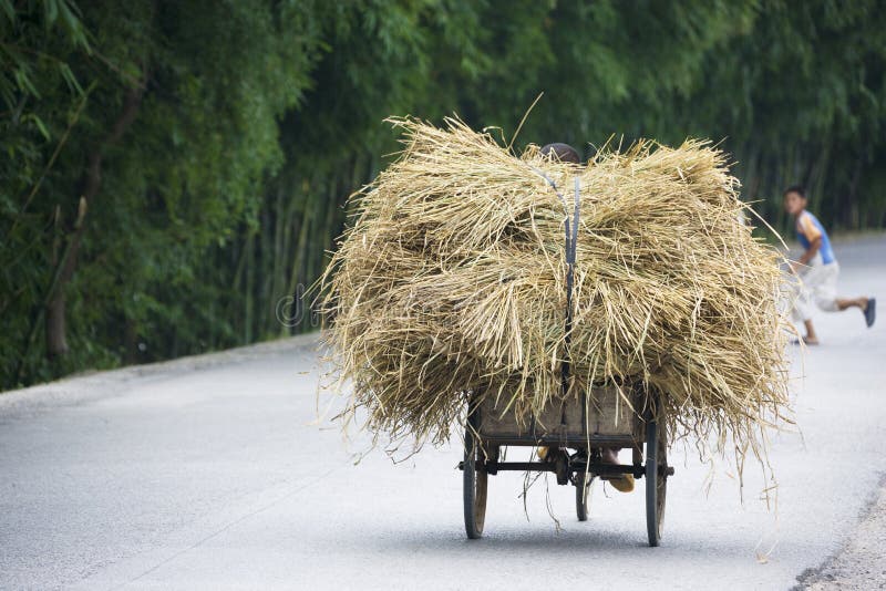 Chinese Hay Cart stock image. Image of brown, guangxi - 10463955