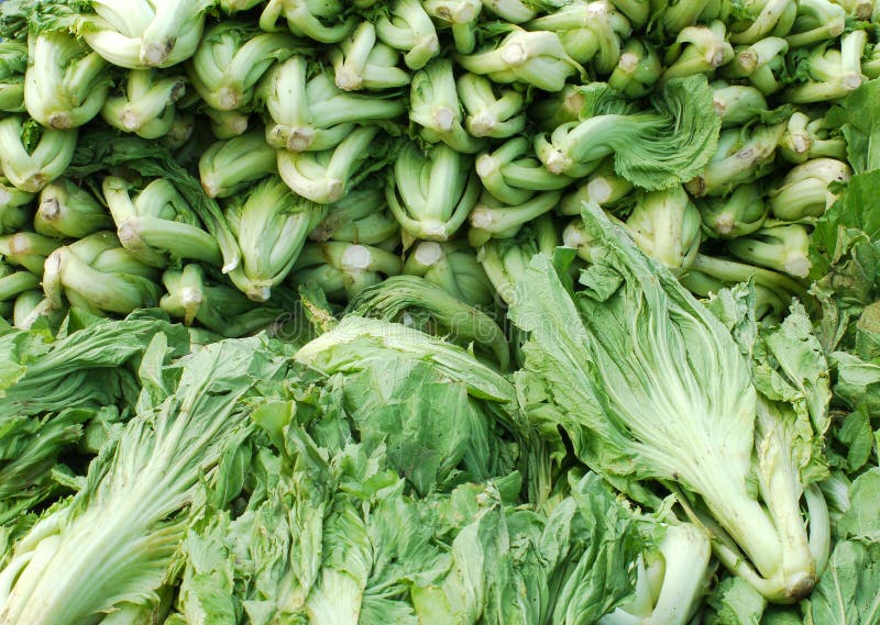 Chinese kale in a market stock image. Image of cambodia - 17371725