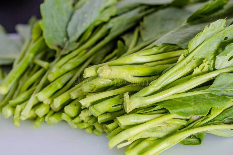 Chinese kale stock image. Image of broccoli, cabbage - 59909491