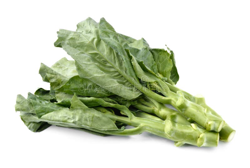 Chinese kale vegetable stock image. Image of meal, isolated - 174865347