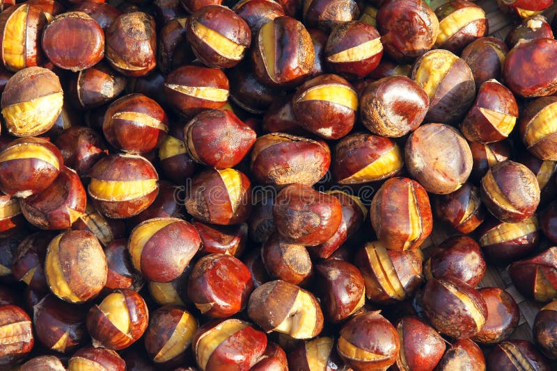 Chinese kastanje stock foto. Image of eten, gewas, zaad - 26752688