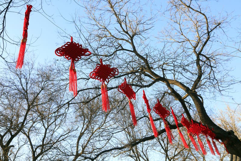 Chinese Knot on Dead Trees, China Stock Photo - Image of antique ...