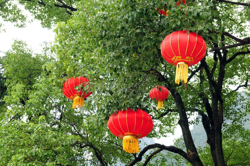 Chinese lamp on tree stock photo. Image of lamp, exterior - 38809716