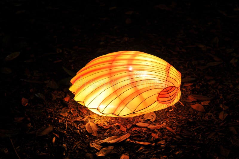 Chinese Lantern Festival Sea Shell Editorial Stock Image - Image of ...