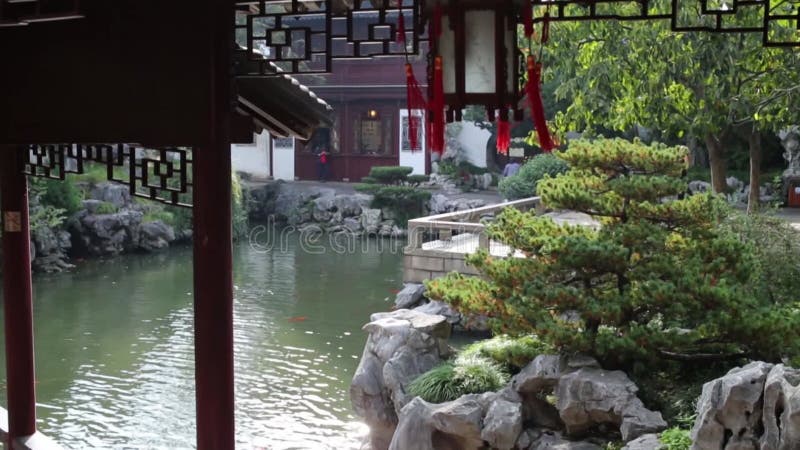 Chinese Lantern, Chinese Pine, Beautiful Pond in Stock Video - Video of ...