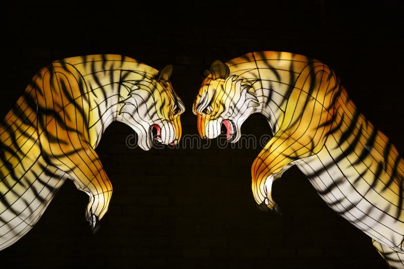 Chinese Lantern: Tigers stock image. Image of culture - 139055593