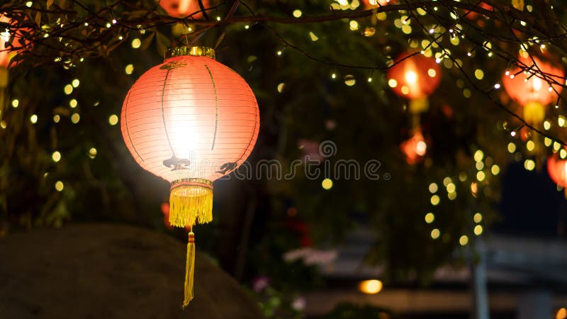 Vintage Chinese Lantern Christmas Tree Lights Stock Photos - Free ...