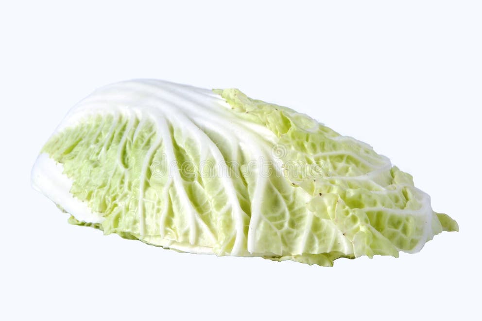 Chinese leaves stock image. Image of vegetable, choi, white - 1663723