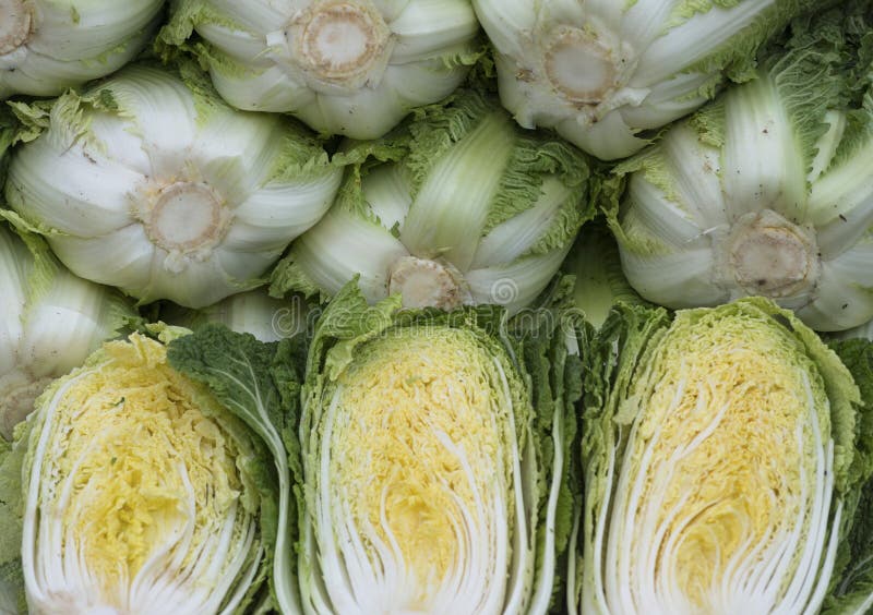 Chinese Lettuce close stock photo. Image of vegatables - 173438420