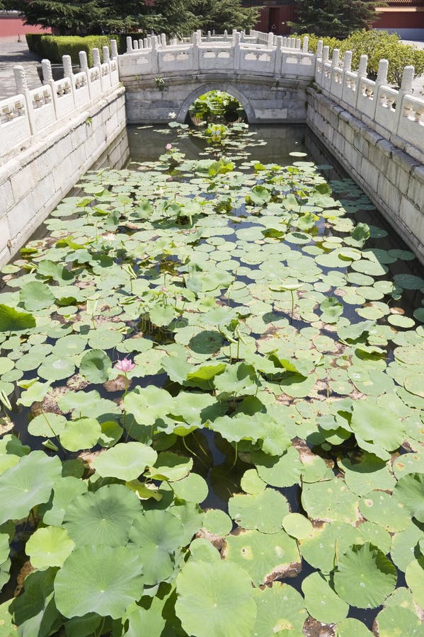 Chinese lily pond stock photo. Image of chinese, forbidden - 28270342