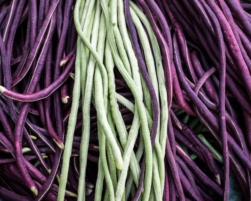 Chinese long beans stock image. Image of ingredients - 42427353