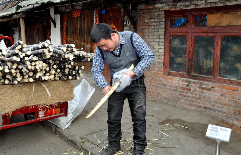 Chinese Man Cutting Sugar Cane Editorial Image - Image of shaft, outer ...