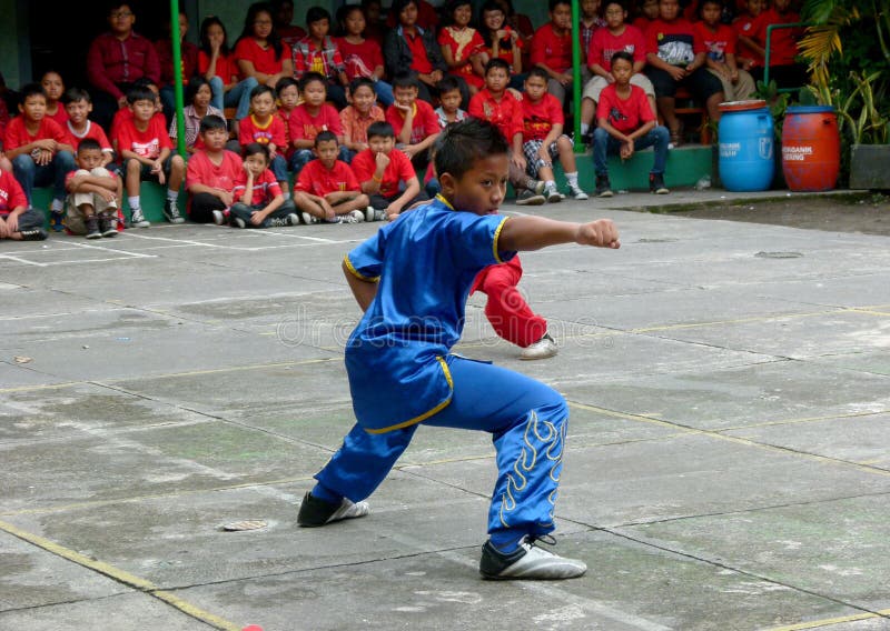 Chinese martial art editorial stock photo. Image of center - 62996738