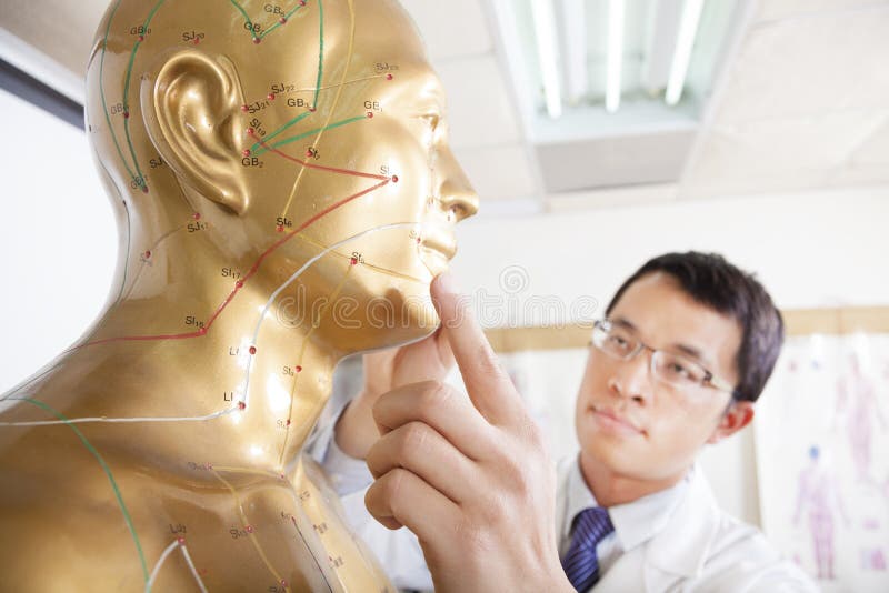 Chinese Medicine Doctor Teaching Acupoint Stock Image - Image of ...