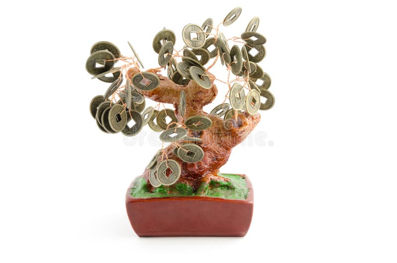 Chinese Money Tree stock photo. Image of china, stem - 16772134