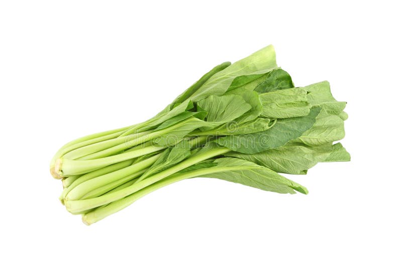 Chinese vegetable-chye sim stock photo. Image of fresh - 4538854