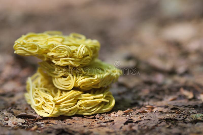 Chinese Noodles in the Nature Stock Image - Image of cuisine, curly ...