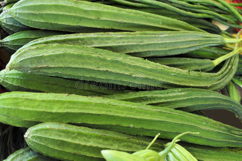 Chinese Okra stock image. Image of vegetable, horizontal - 10174119