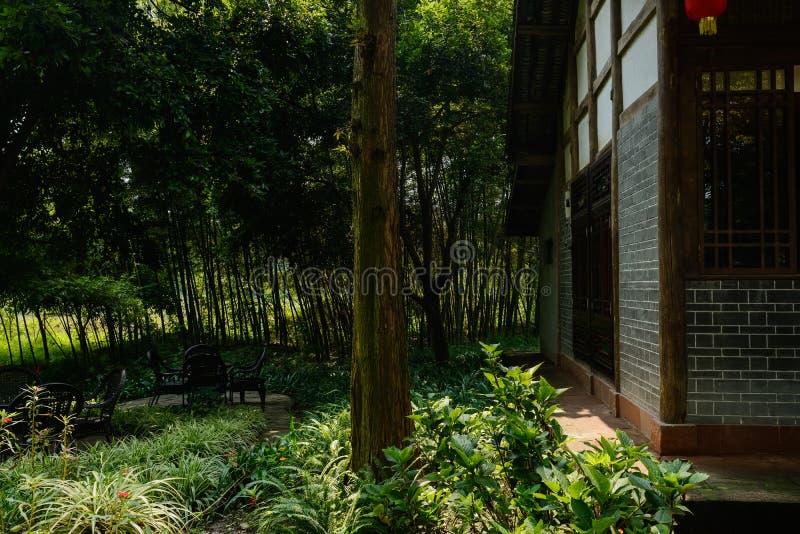 Chinese Old Building in Bamboo of Sunny Autumn Stock Photo - Image of ...
