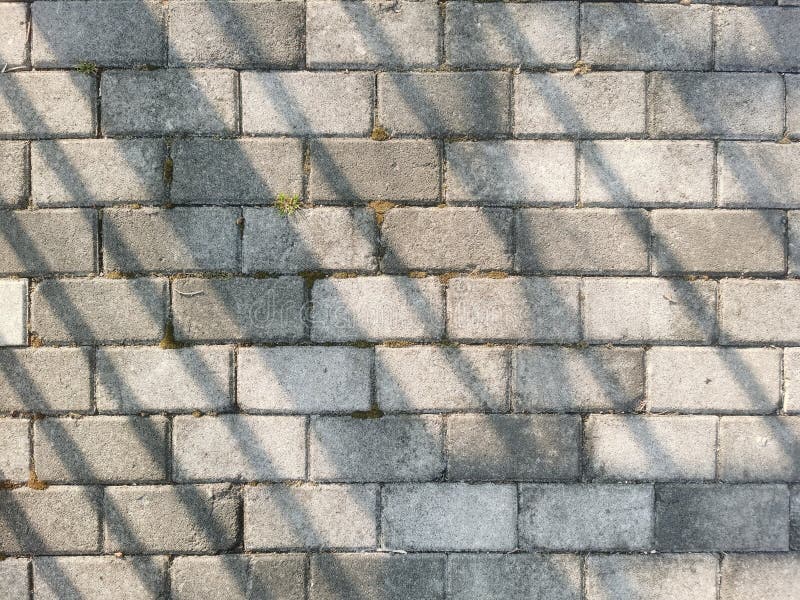 Brick wall texture stock photo. Image of backdrop, town - 309821934