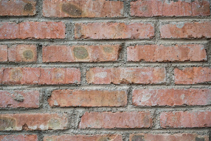 Red Brick wall texture stock photo. Image of backdrop - 311516080
