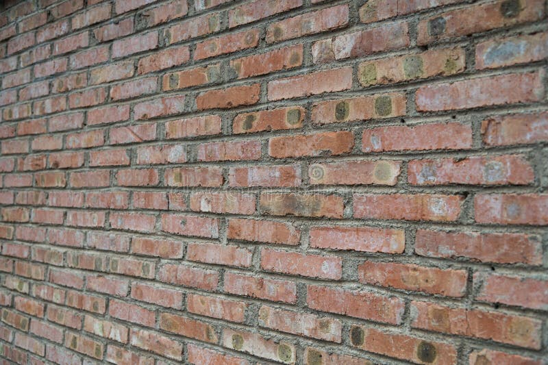 Red Brick wall texture stock photo. Image of design - 311516088