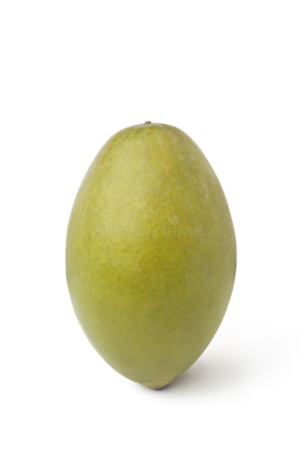 Dried Olive. Chinese Preserved Olive on Background Stock Photo - Image ...