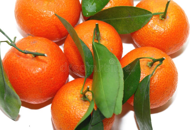 Chinese Orange stock photo. Image of leaf, eating, healthy - 8225446