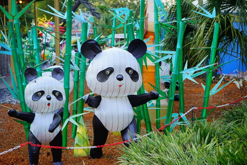 Chinese panda lantern stock photo. Image of evening, black - 73141854