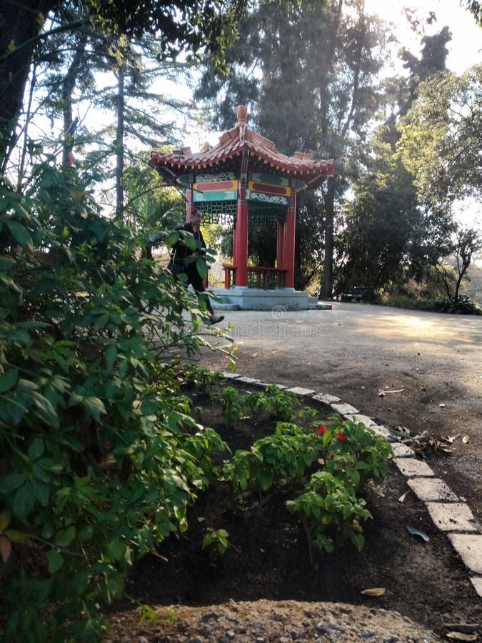 Parque o`higgins lake stock photo. Image of raspberries - 100227392