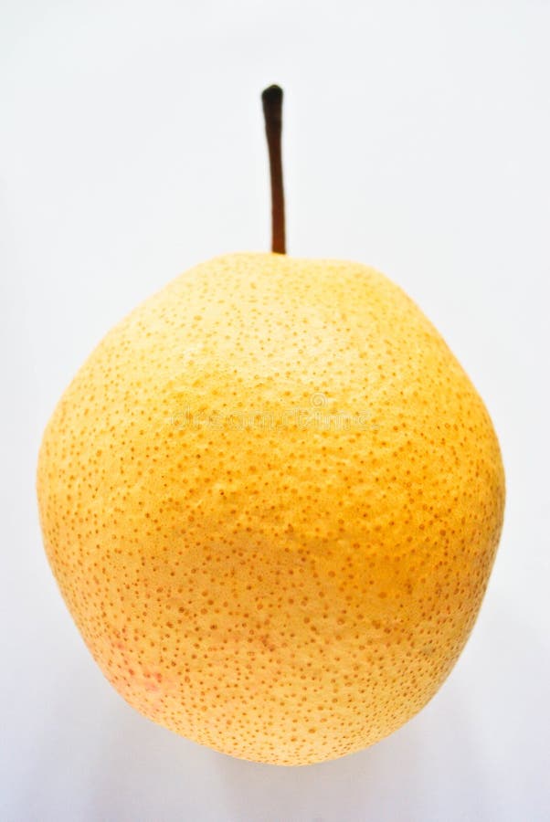 Chinese pear stock photo. Image of nutrition, cutout - 25691570