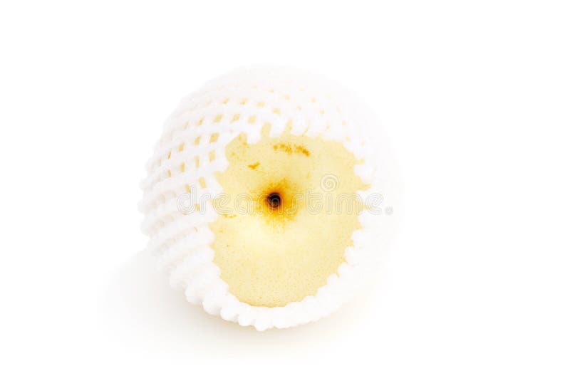 Chinese Pear Wrapped with White Mesh Foam Isolated on White Stock Photo ...