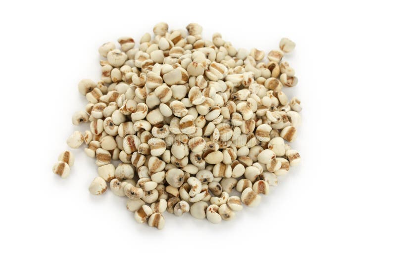 Chinese Pearl Barley, Traditional Chin Stock Image - Image of dried ...