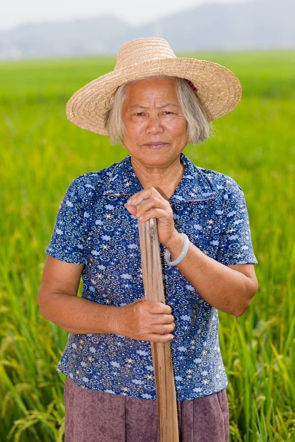 Chinese peasant stock image. Image of female, traditional - 31157055