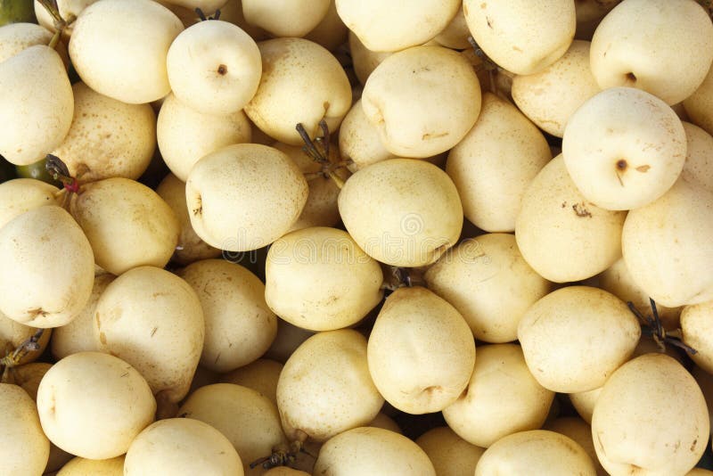 Chinese peer stock afbeelding. Afbeelding bestaande uit peer - 105717