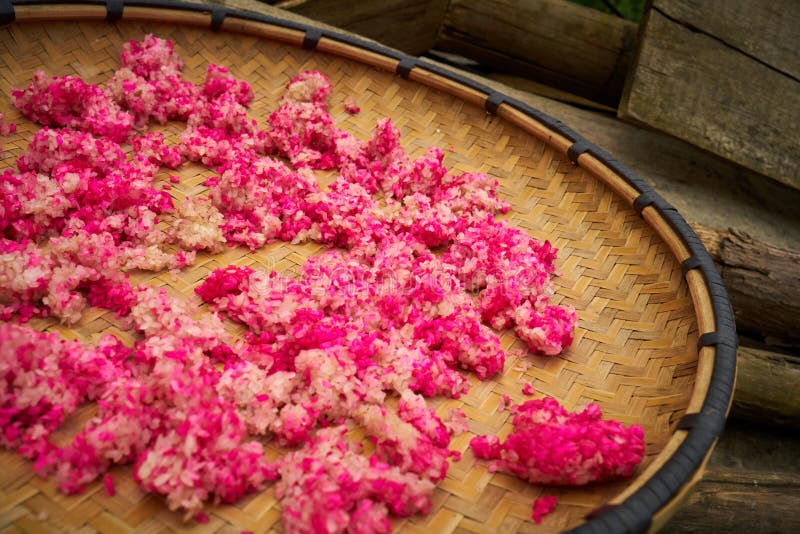 Chinese pink stock photo. Image of leaves, annual, flowers - 38711108