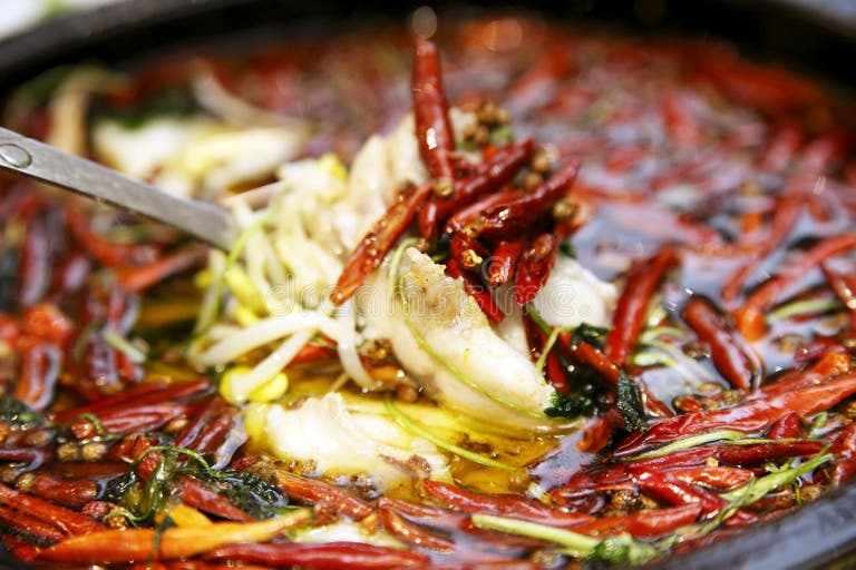 Chinese poached fish stock image. Image of fine, poached - 14725481