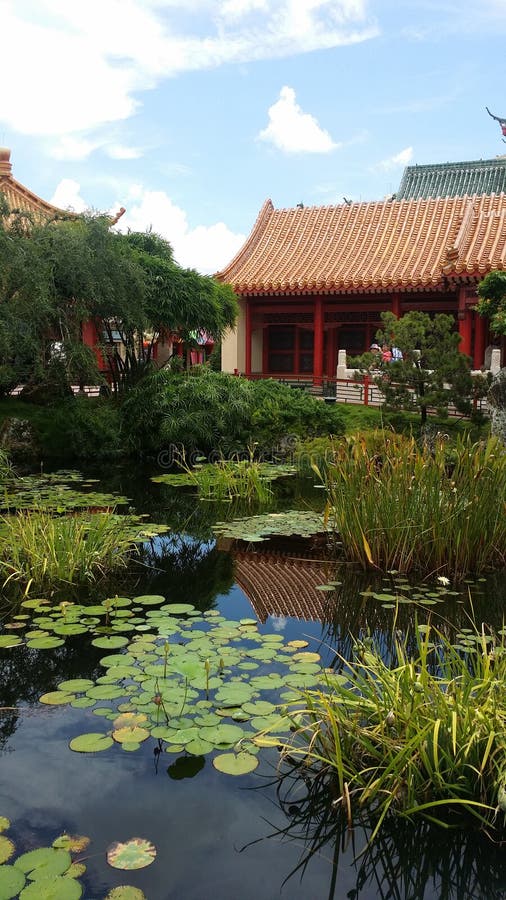 Chinese pond stock photo. Image of chinese, lilly, pond - 45825124