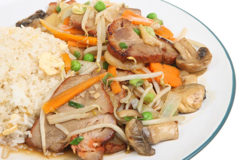 Chinese Spring Rolls stock photo. Image of closeup, deep - 13459540