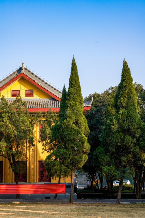 Chinese Retro Buildings and Towering Pine Trees Stock Image - Image of ...